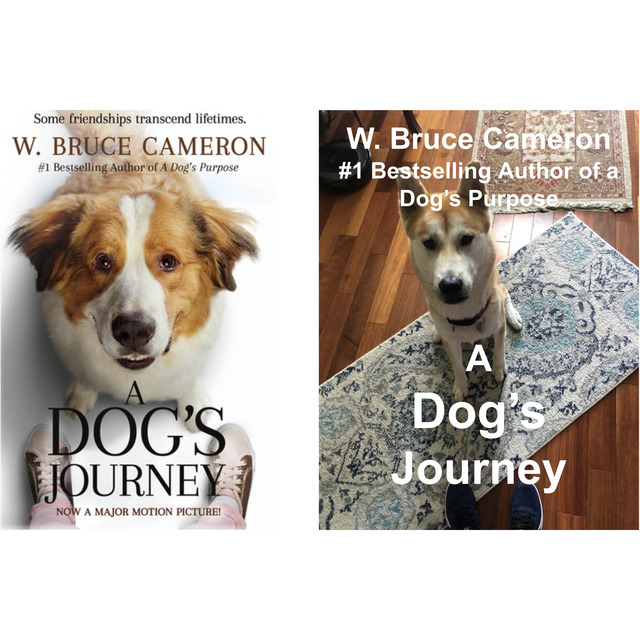 Book Cover Challenge - News & Photos - McDonogh School