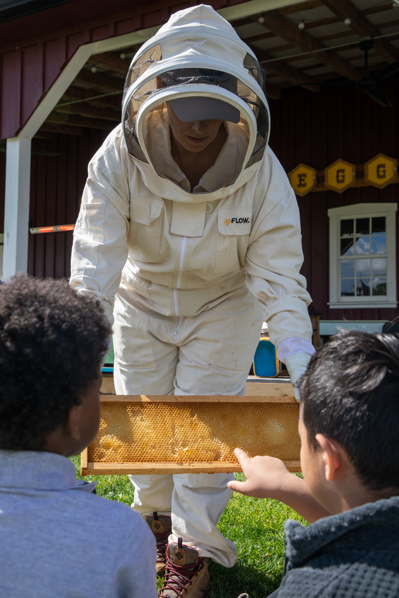 First Graders Buzzing About Bees - News & Photos - McDonogh School