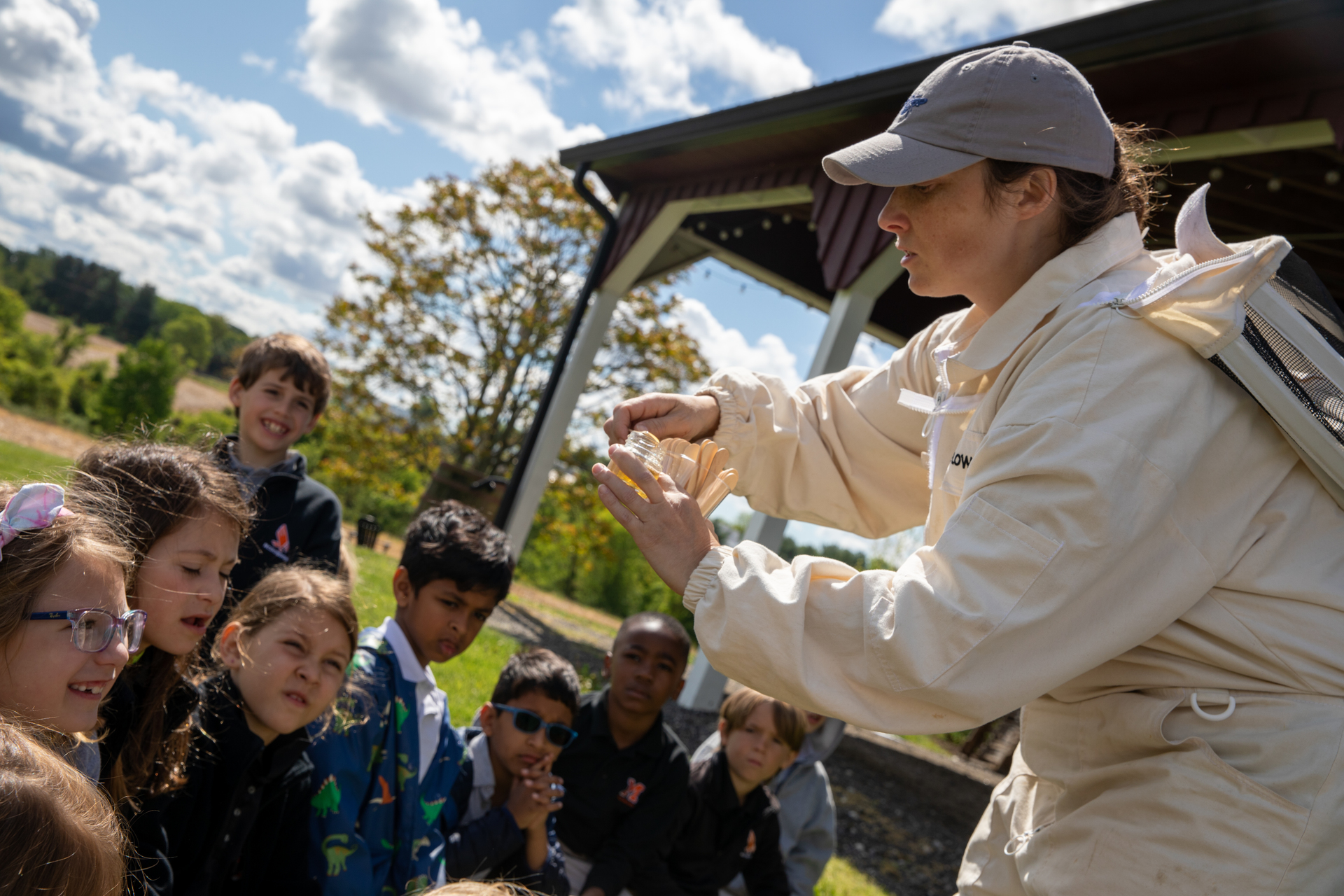 First Graders Buzzing About Bees - News & Photos - McDonogh School