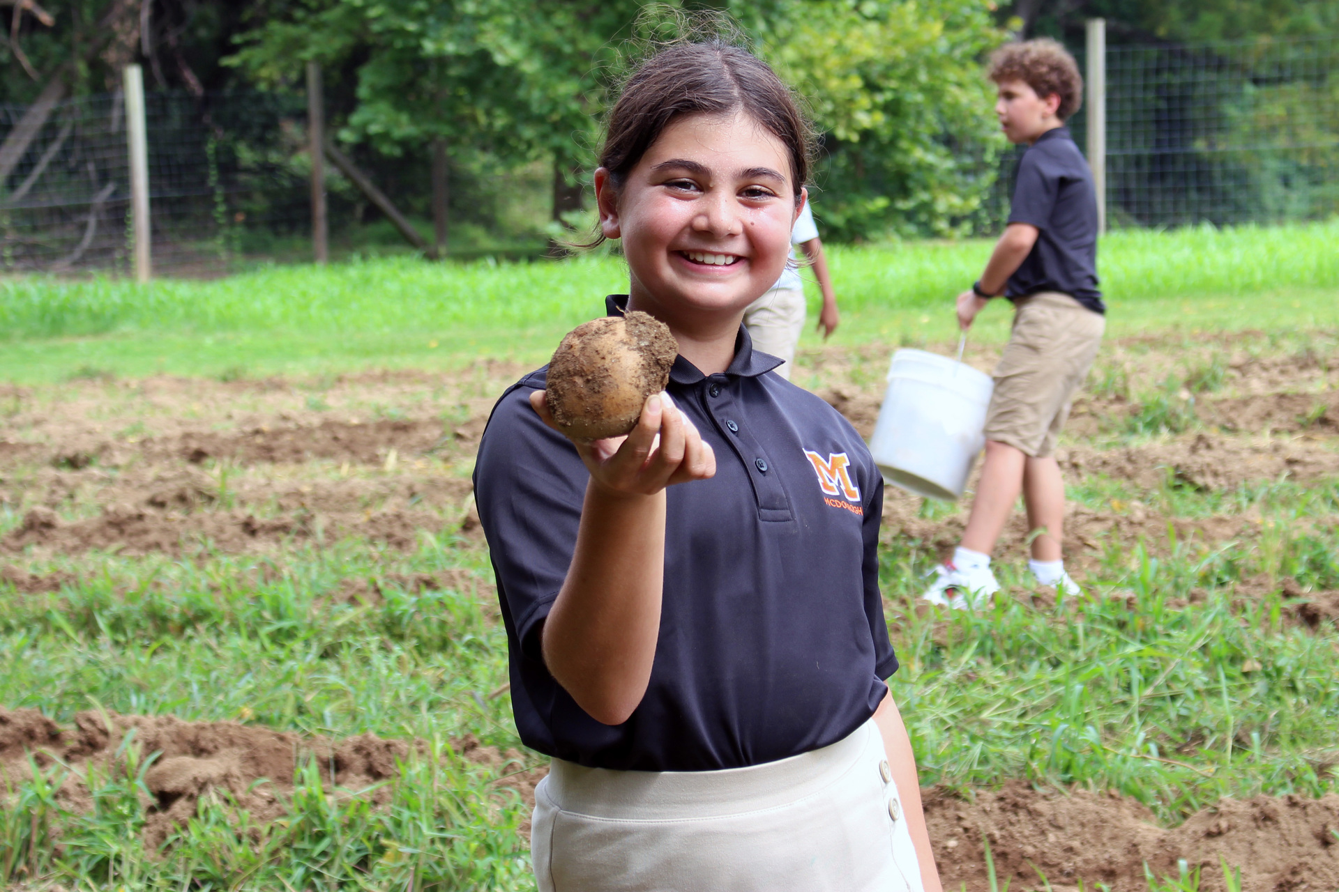 Students Harvest Potatoes and Apples - News & Photos - McDonogh School