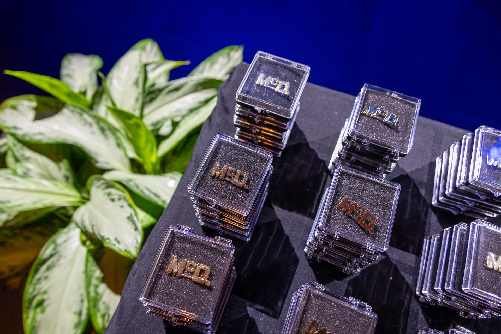 Junior Pin Ceremony - News & Photos - McDonogh School